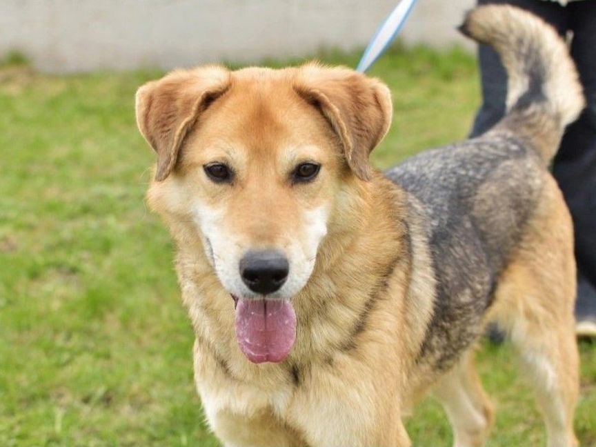 Настоящий бриллиант по имени Памир