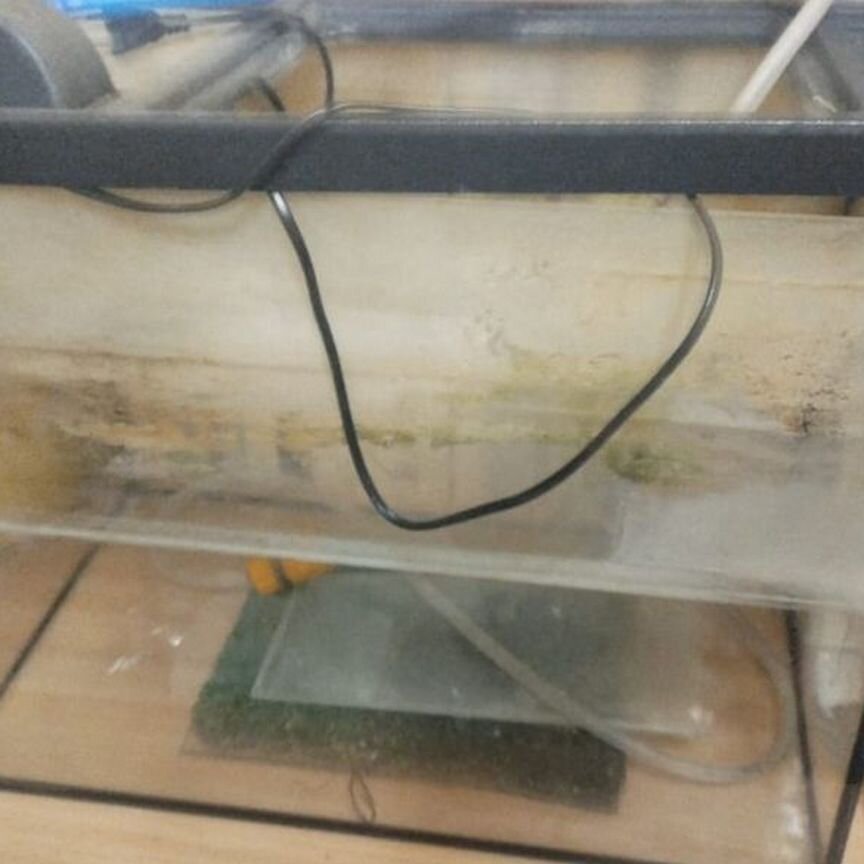 Аквариум бу для рыбок или рептилии