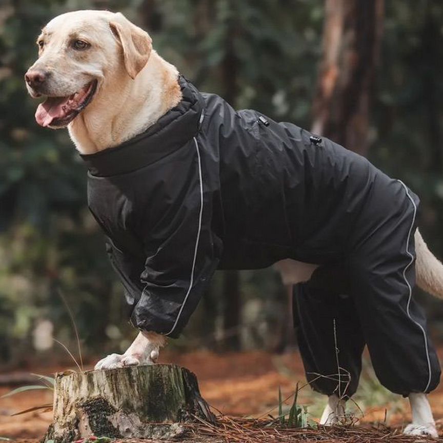 Комбинезон для средней собаки