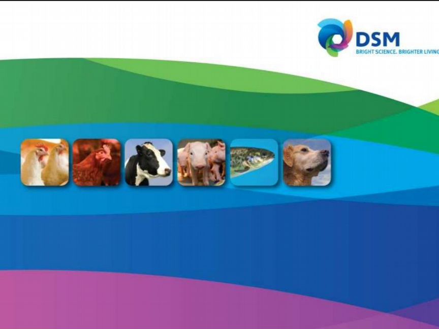 Премиксы DSM Rovimix для сельхоз животных и птиц