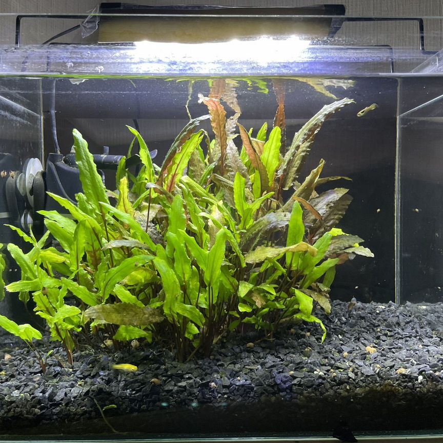 Аквариум 25 л