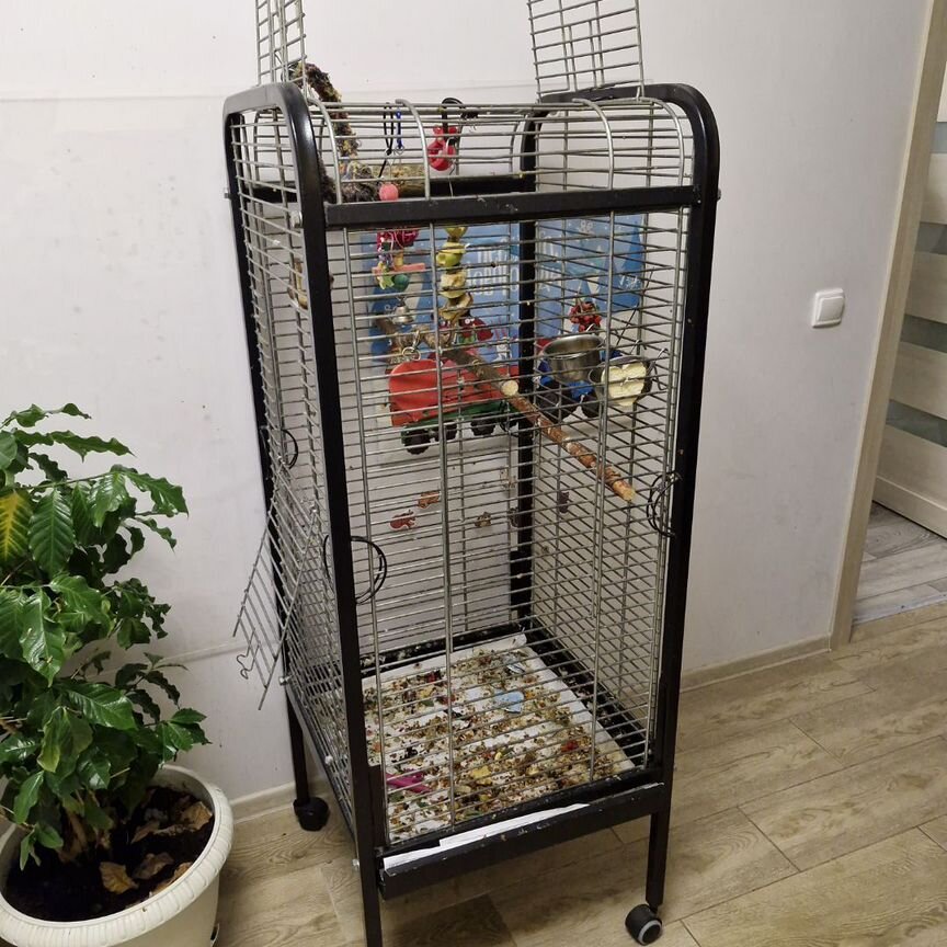 Клетка для попугая бу