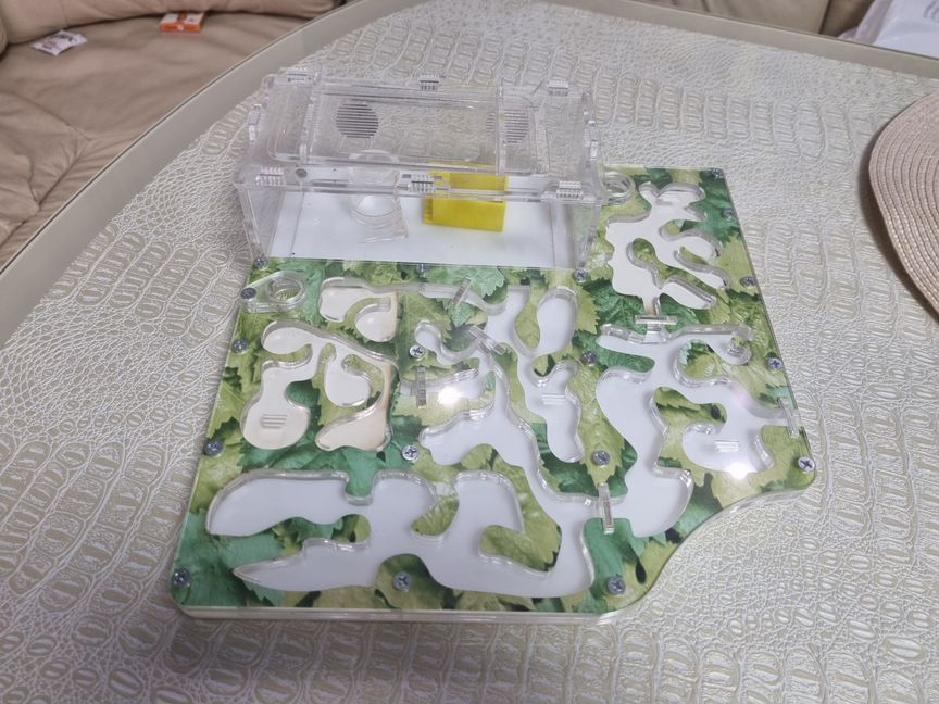 Муравьиная ферма без муравьев