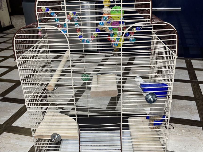 Клетка для попугая 60*38*28 всё включено