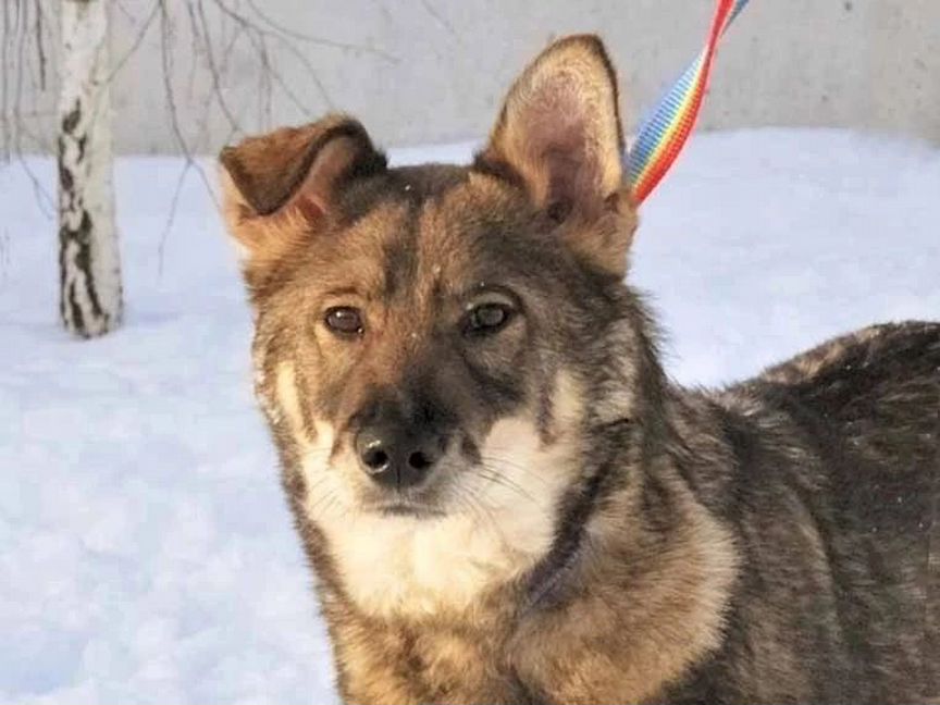 Красавчик Буян, 6 месяцев