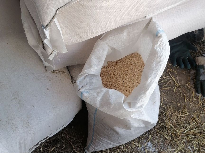 Греча, Геркулес, рис, горох, ячневая, перловка