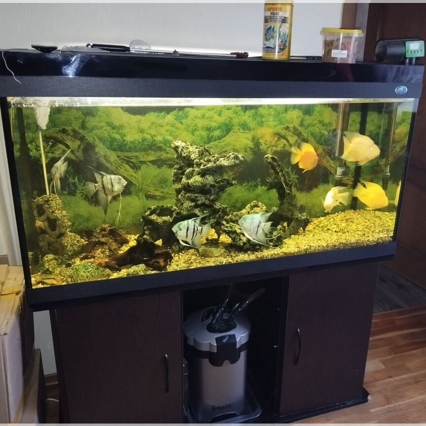 Аквариум с тумбой 300 литров с рыбками