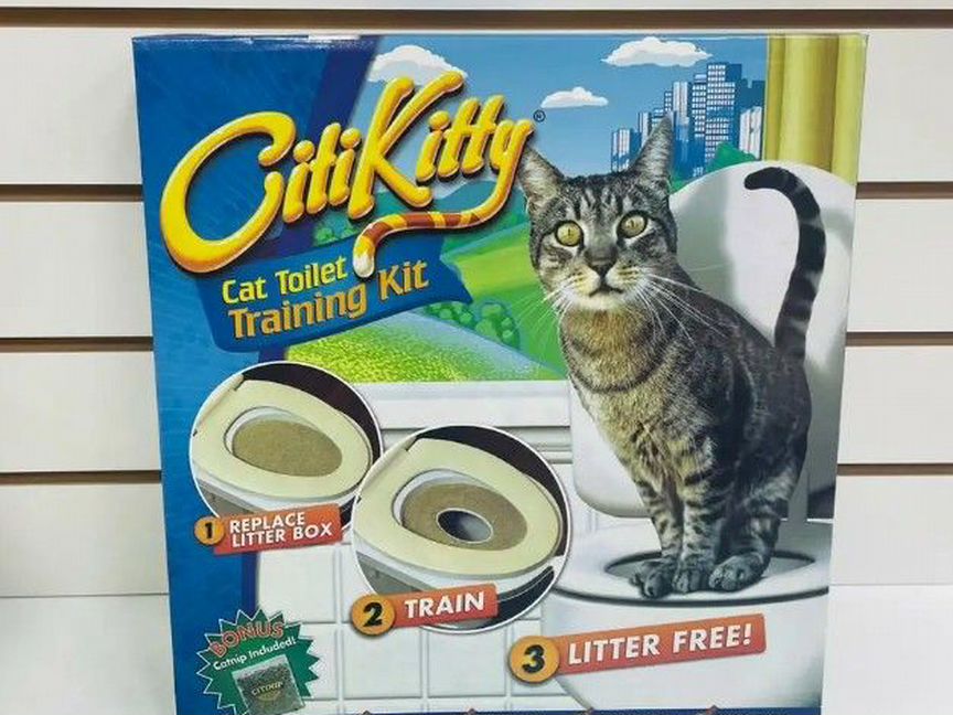 Приучение кошки к унитазу