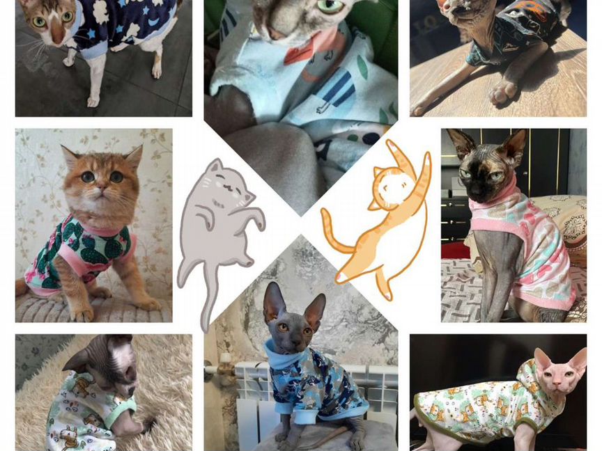 Одежда для кошек