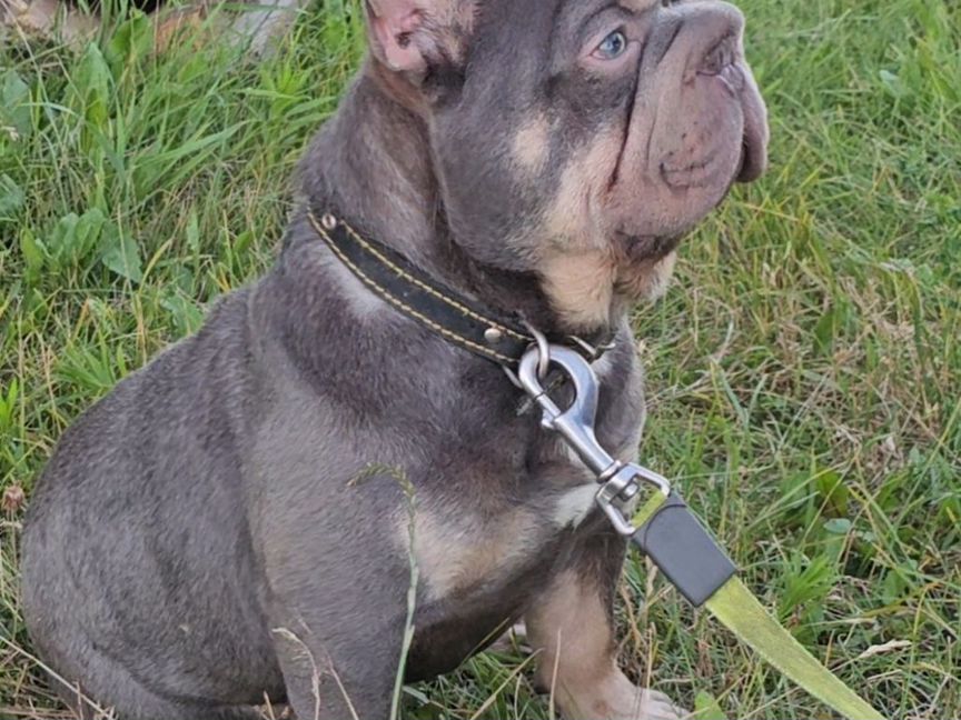 Биг роуп с изабеллой и флаффи (вязка)