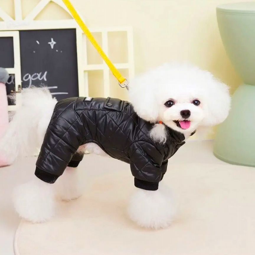 Одежда для маленьких собак