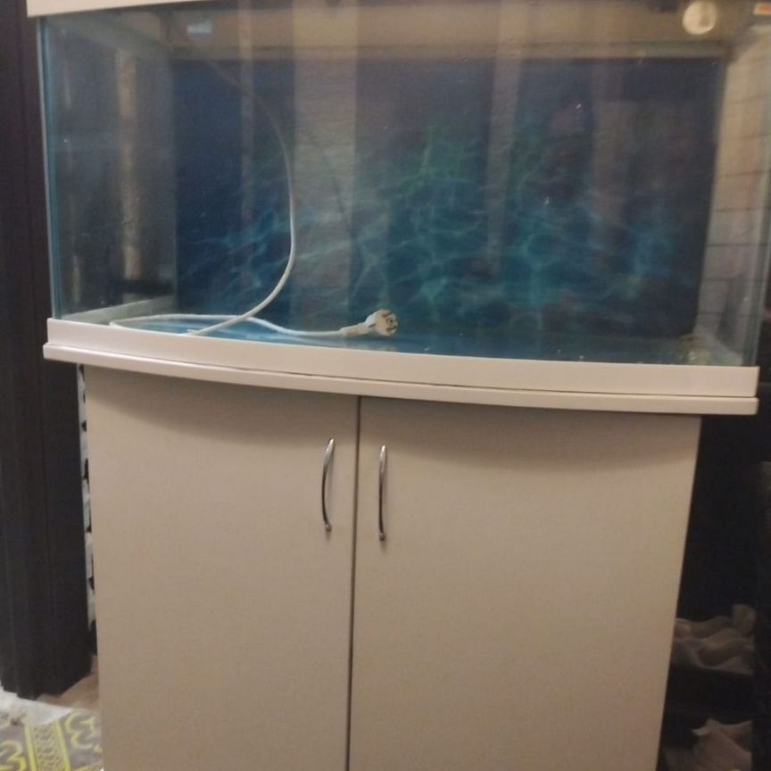 Аквариум панорамный 100л с тумбой бу