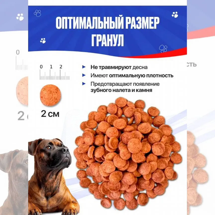 Сухой корм для собак