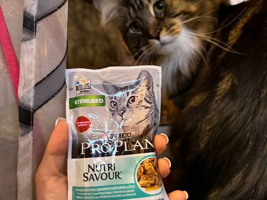 Паучи Pro Plan океаническая рыба, соус, есть 17 шт