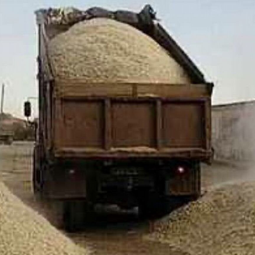 Жом свекловичный сырой