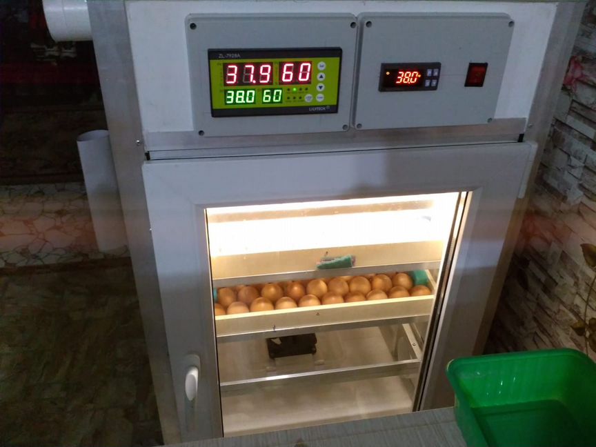 Инкубатор автоматический "Бони" на 400 куриных яиц