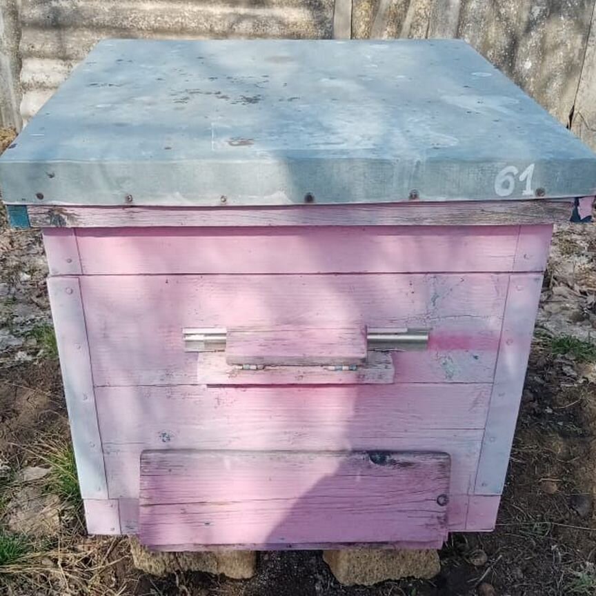 Продам ульи дадан