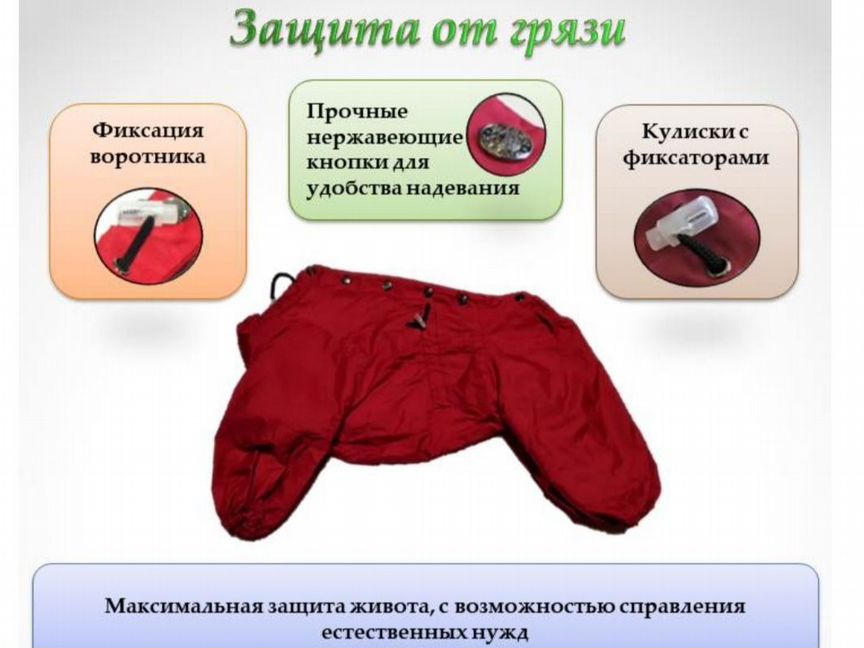 Весенняя ветровка для собаки