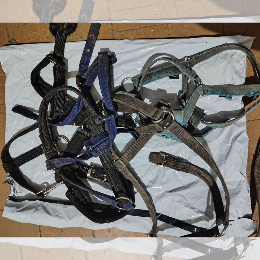 Недоуздок для лошади / недоуздки