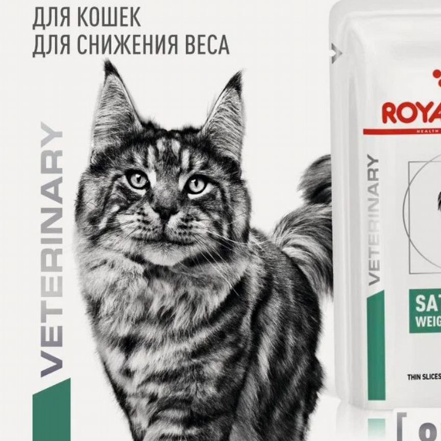 Влажный корм для кошек royal canin satiety