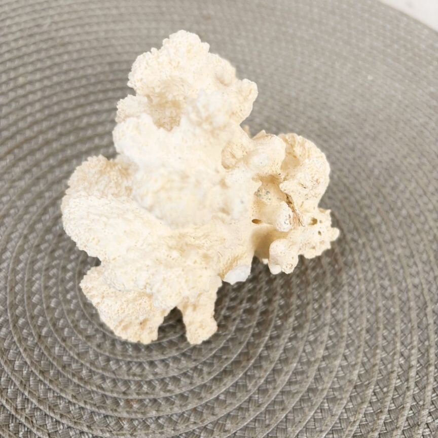 Натуральный коралл