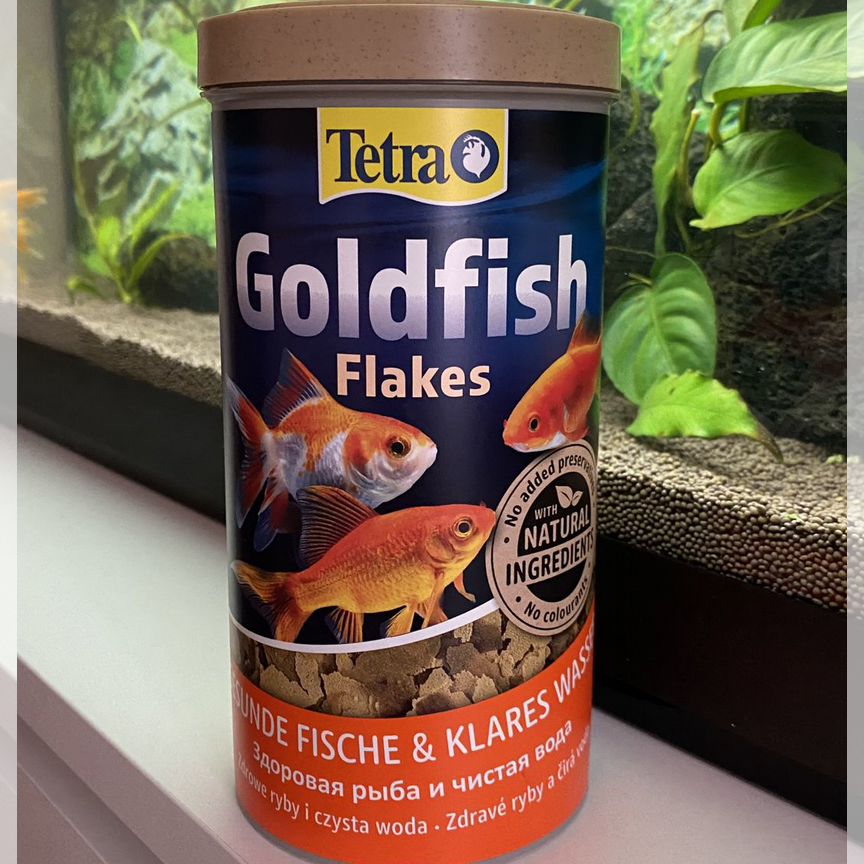 Аквариум с рыбками