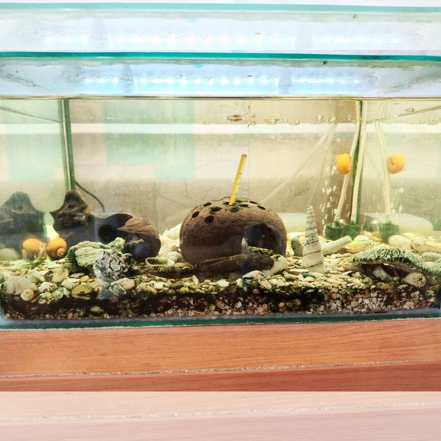 Аквариум с обитателями и оборудованием