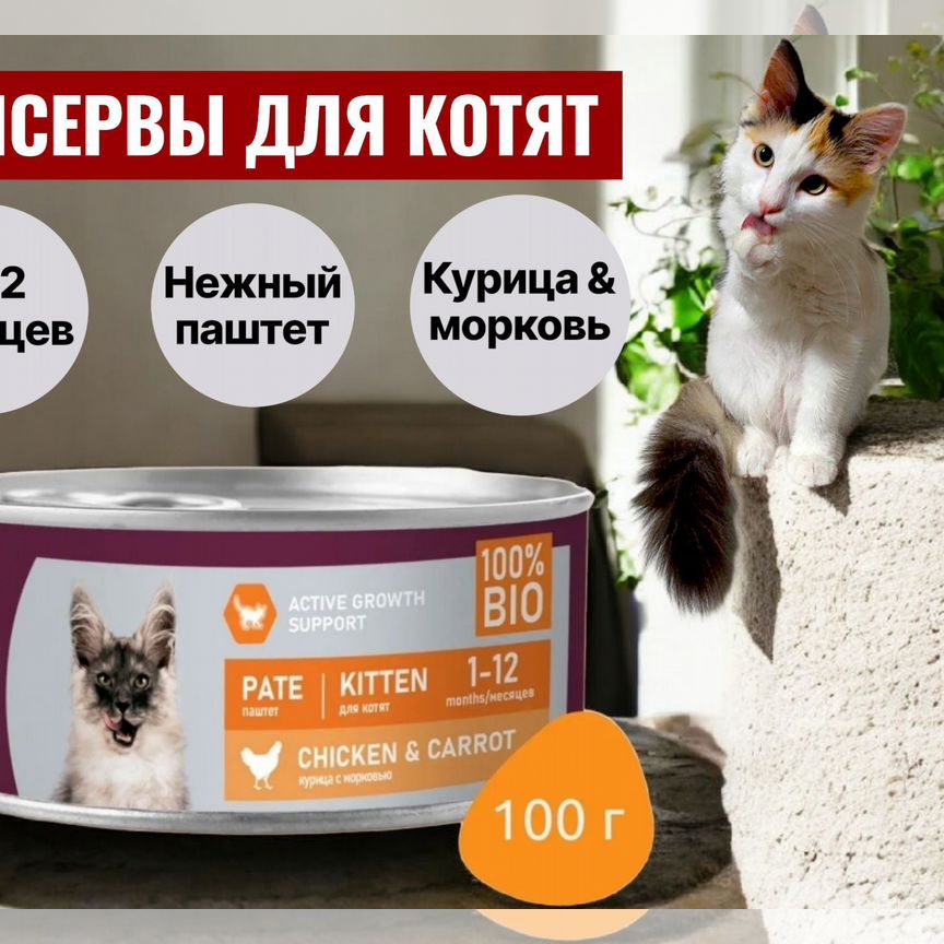 Влажный корм для котят консервы award и миска