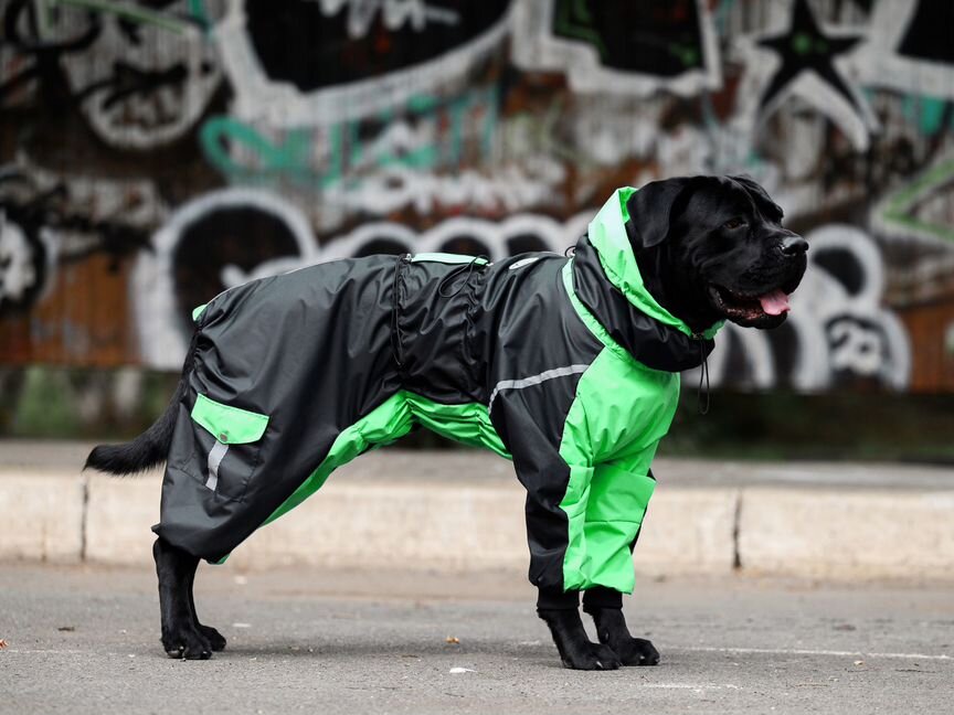 Одежда для собак индивидуального пошива