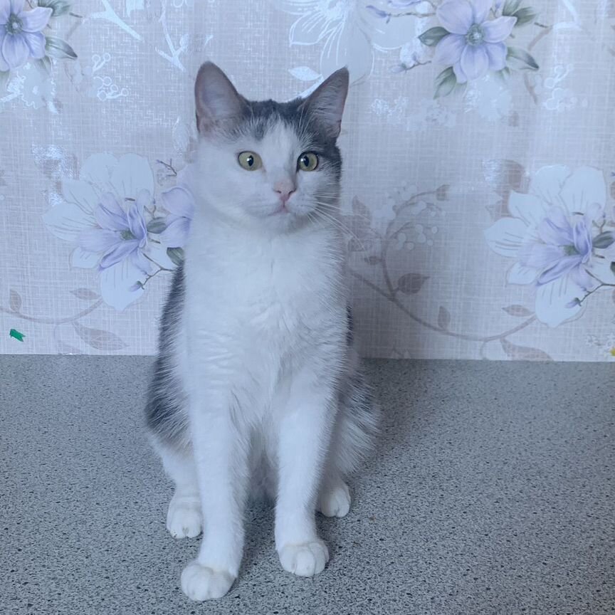 Софочка