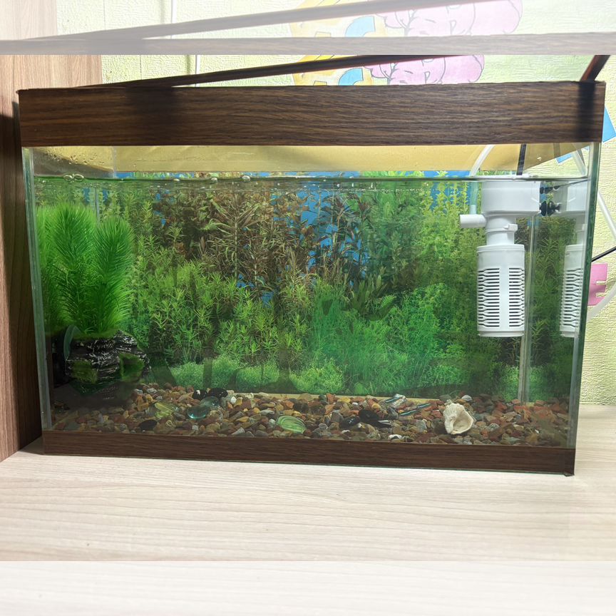 Аквариум с рыбками