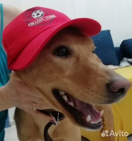 Обалденный Рыжий