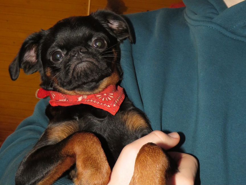 Брутальный мальчишка