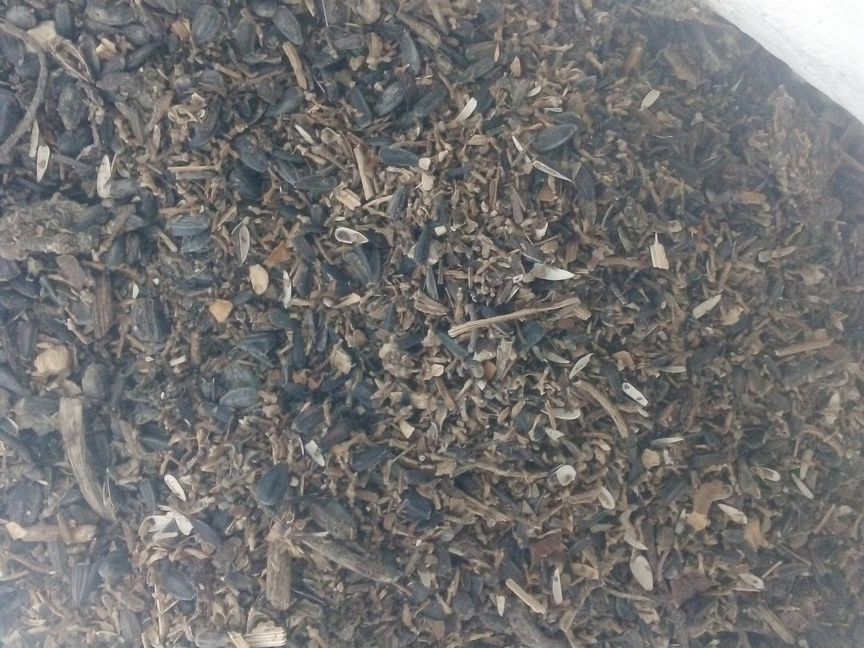 Семечные отходы