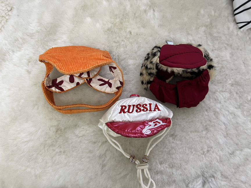 Шапка и кепи для мелких собак