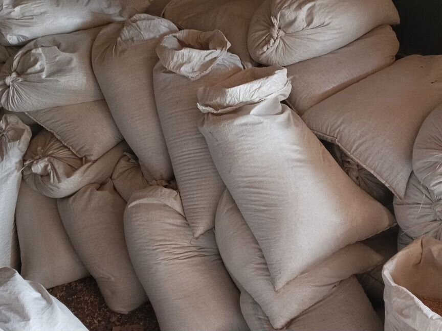 Нут половинка