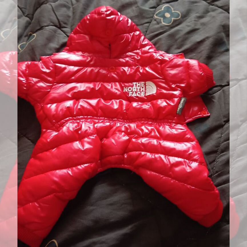 Одежда для маленьких собак xs