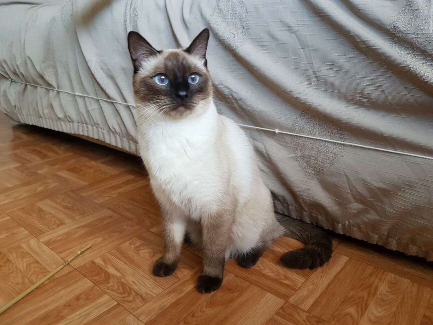 Таец