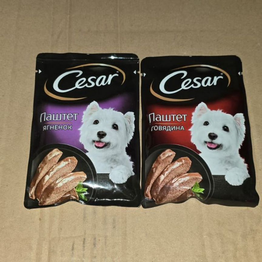 Собачий корм Cesar
