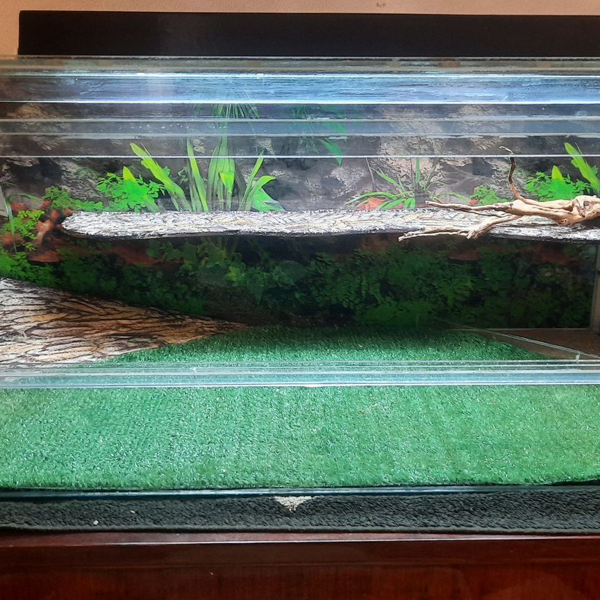 Террариум 80х40х30