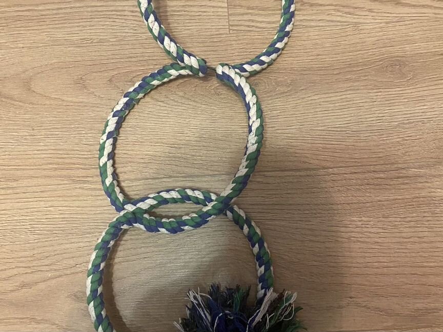 Кольца для попугая