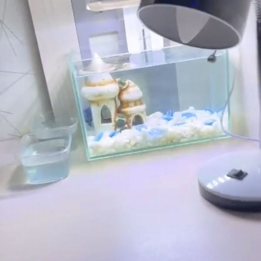 Аквариум для рыб
