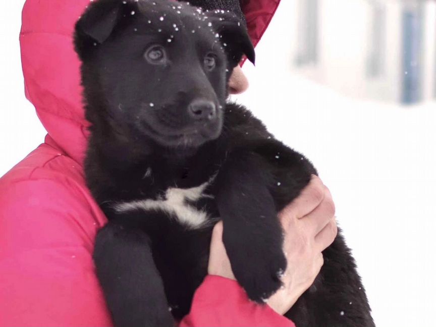 Малышка в добрые руки