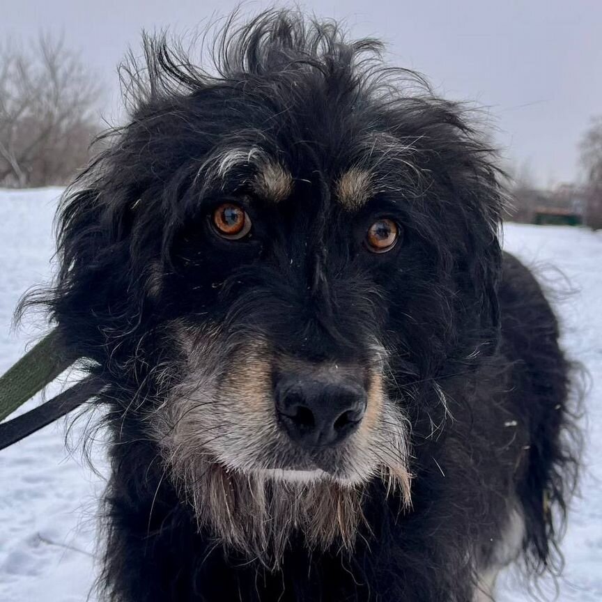 Ахмат учится доверять людям