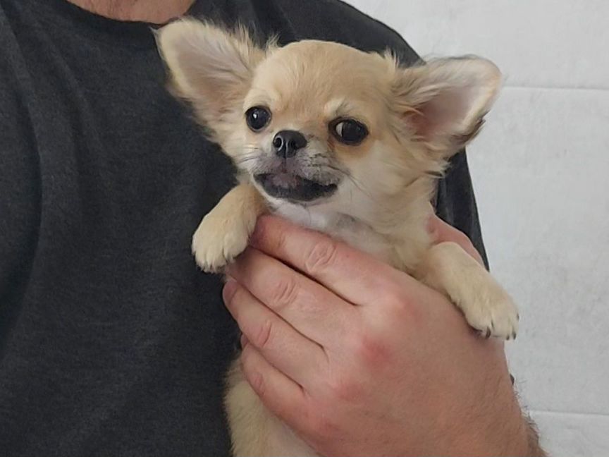 Очень красивый мальчик