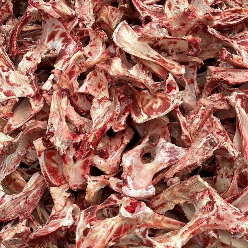 Кости говяжьи для собак