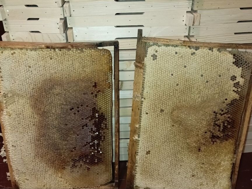 Рамки с мёдом