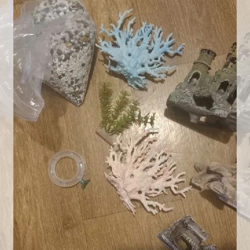 Отдам для аквариума