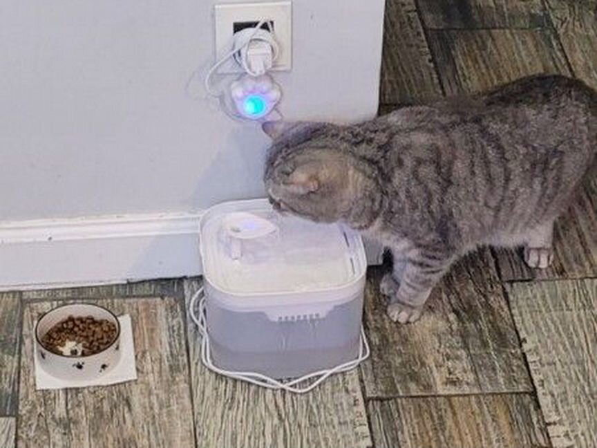 Фонтан поилка