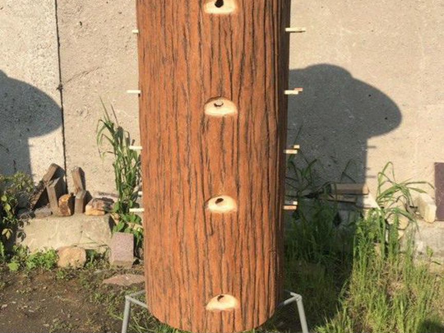 Колода для пчел